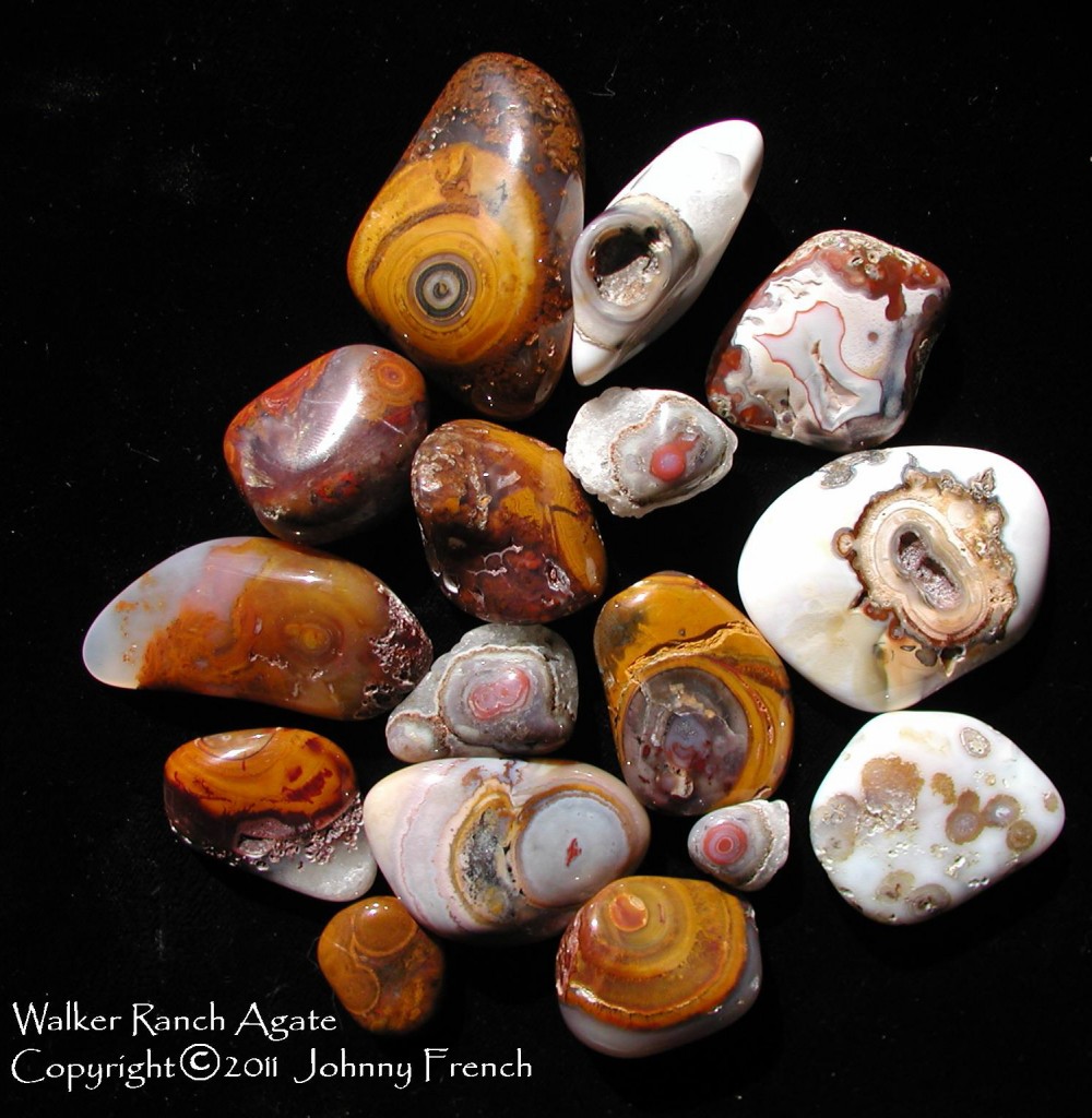 Eye Agate – Walker Ranch | Rock Hunting in the Big Bend of Texas