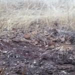 Locations | Rock Hunting in the Big Bend of Texas